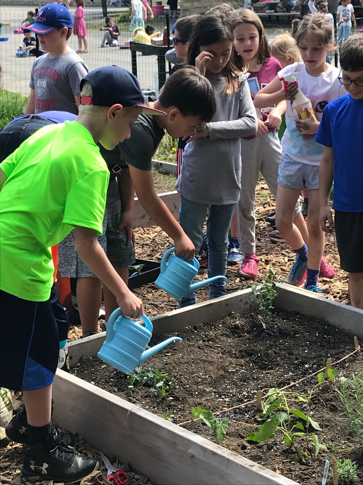 Davis Elementary School Garden: Second Grade Planting