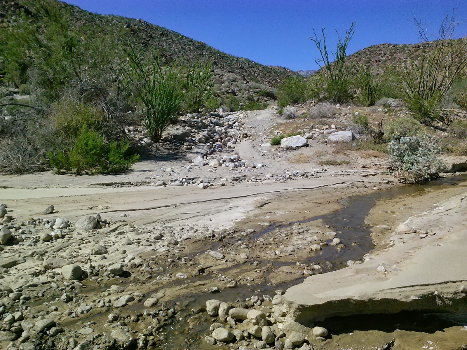 AdventureGraham: ABDSP: Culp Valley, Coyote Canyon, Kane Springs Road ...