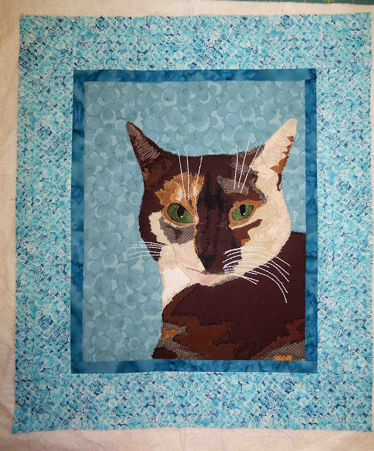 Cat Patches: A Day for Stitching both Fast and Slow