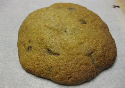 Not the Normal Teenage Fare: The GREAT Chocolate Chip Cookie Experiment