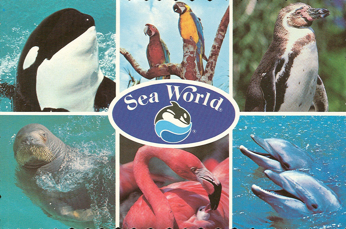 Vintage Travel Postcards: Sea World - Orlando, Florida