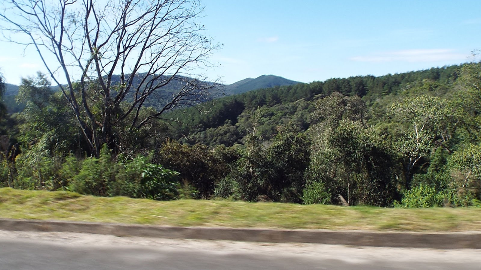 Conhecendo o Verdadeiro, Respirando o Puro!: Morro do Cal - Campo Largo/PR