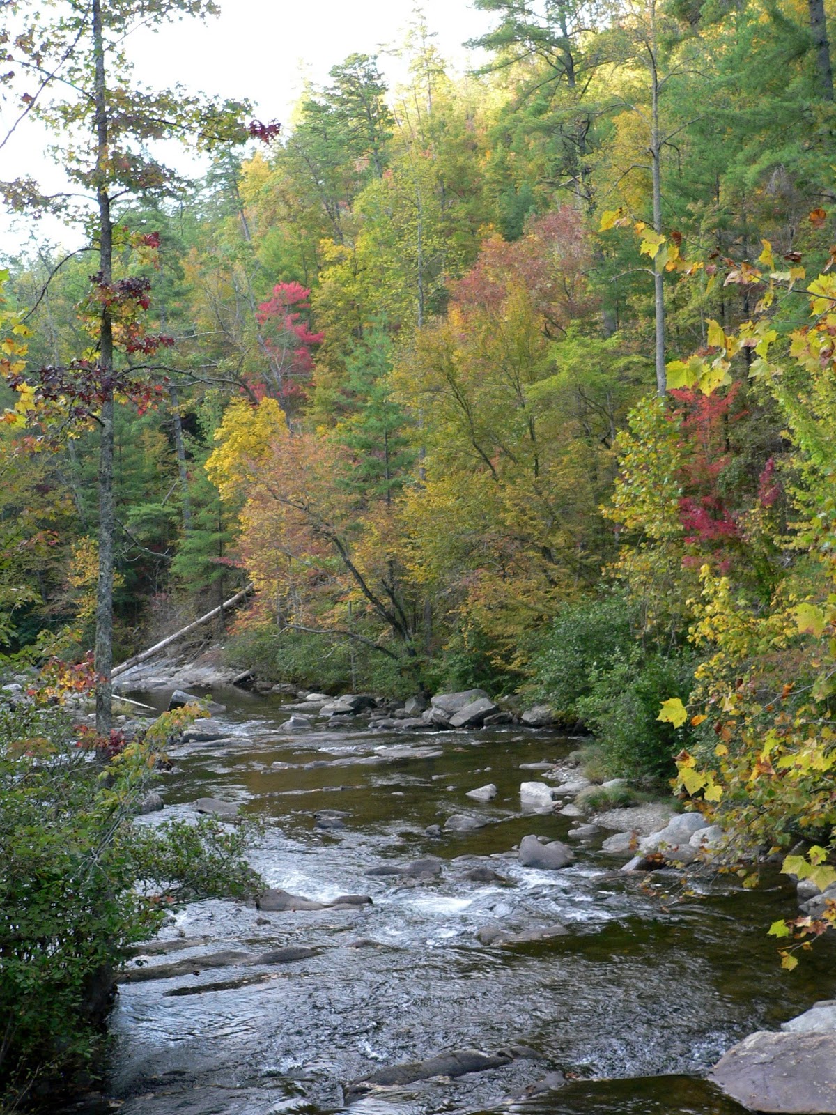 American Travel Journal: TBT: Tellico River and Bald River Falls ...