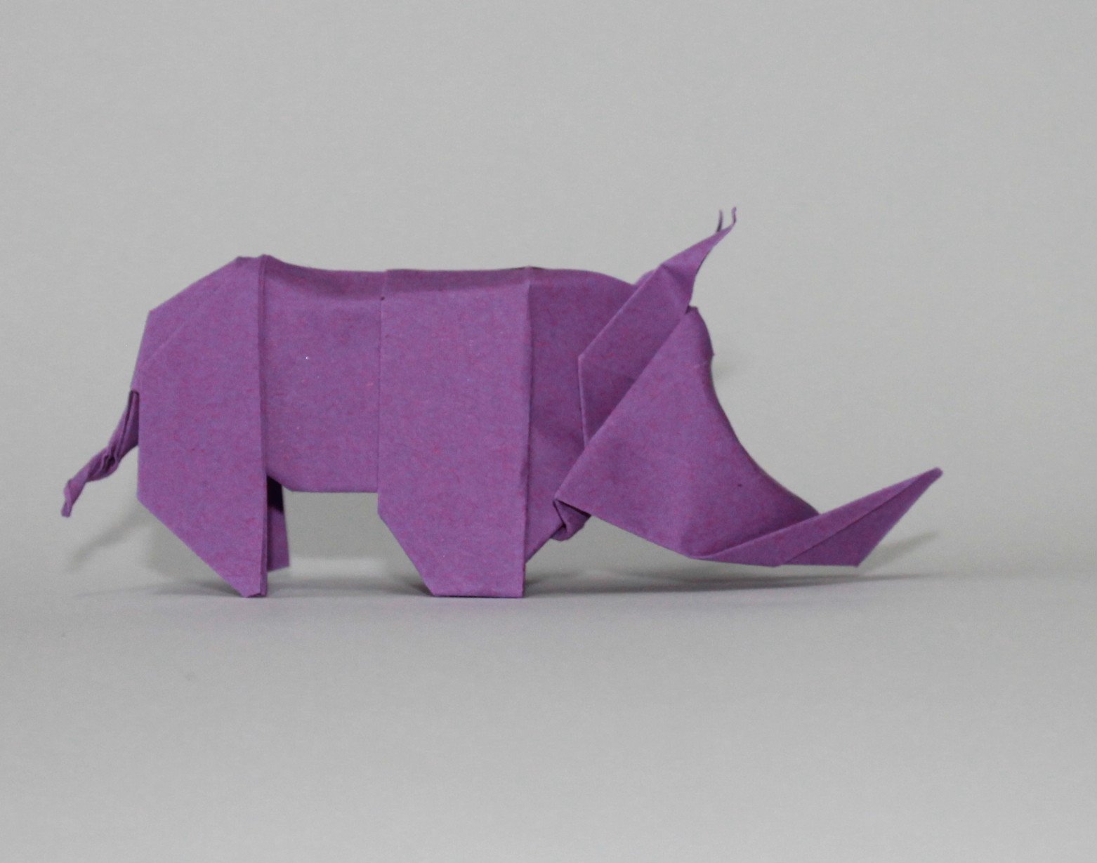 Origami KS: Rhino - Rhinoceros