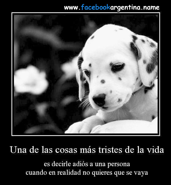 Imagenes de desmotivaciones tristes de adios - Imagui