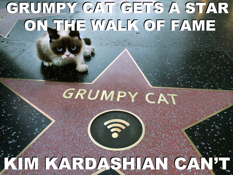 Grumpy cat gets a star on the walk of fame, kim kardashian can't
