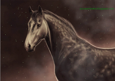 Trandafir,fluture,pana,cal,gif miscatoare