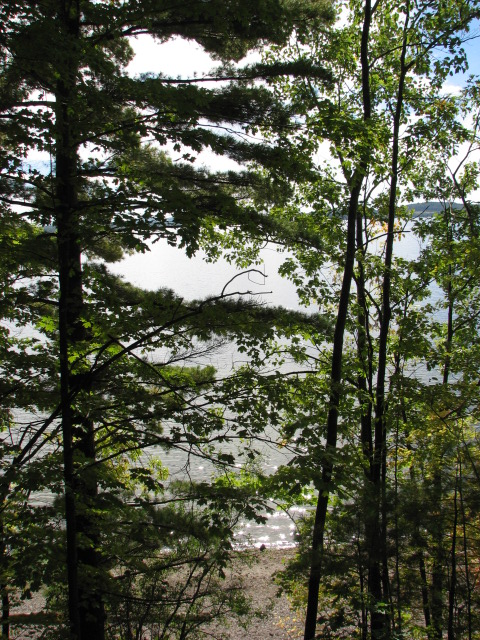 Red Rocks Park -South Burlington, Vermont | Litter with a Story To Tell