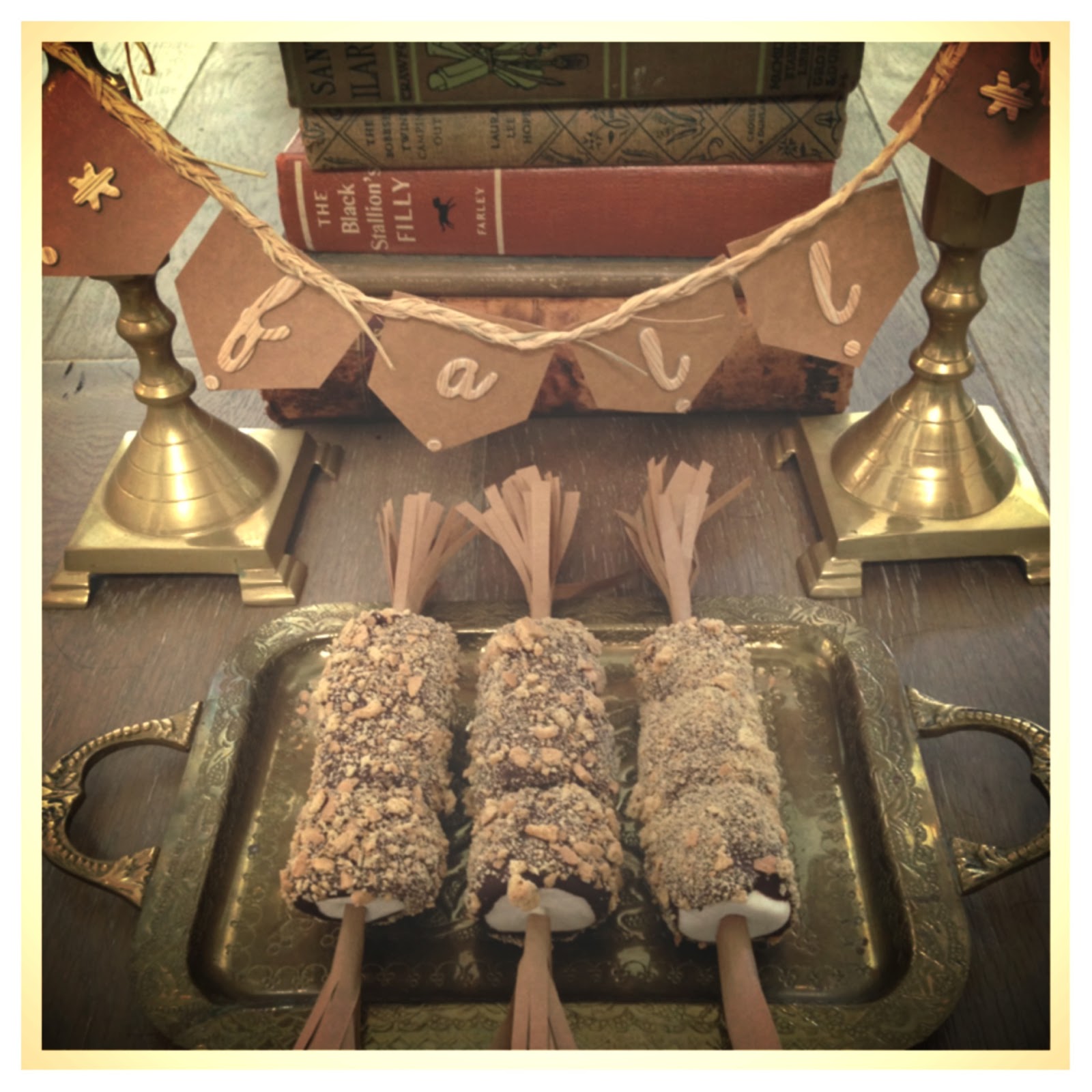 G3Q Designs: S'more Kabobs