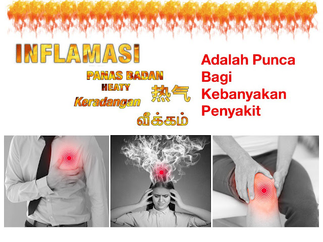Inflamasi Punca Penyakit Kronik.