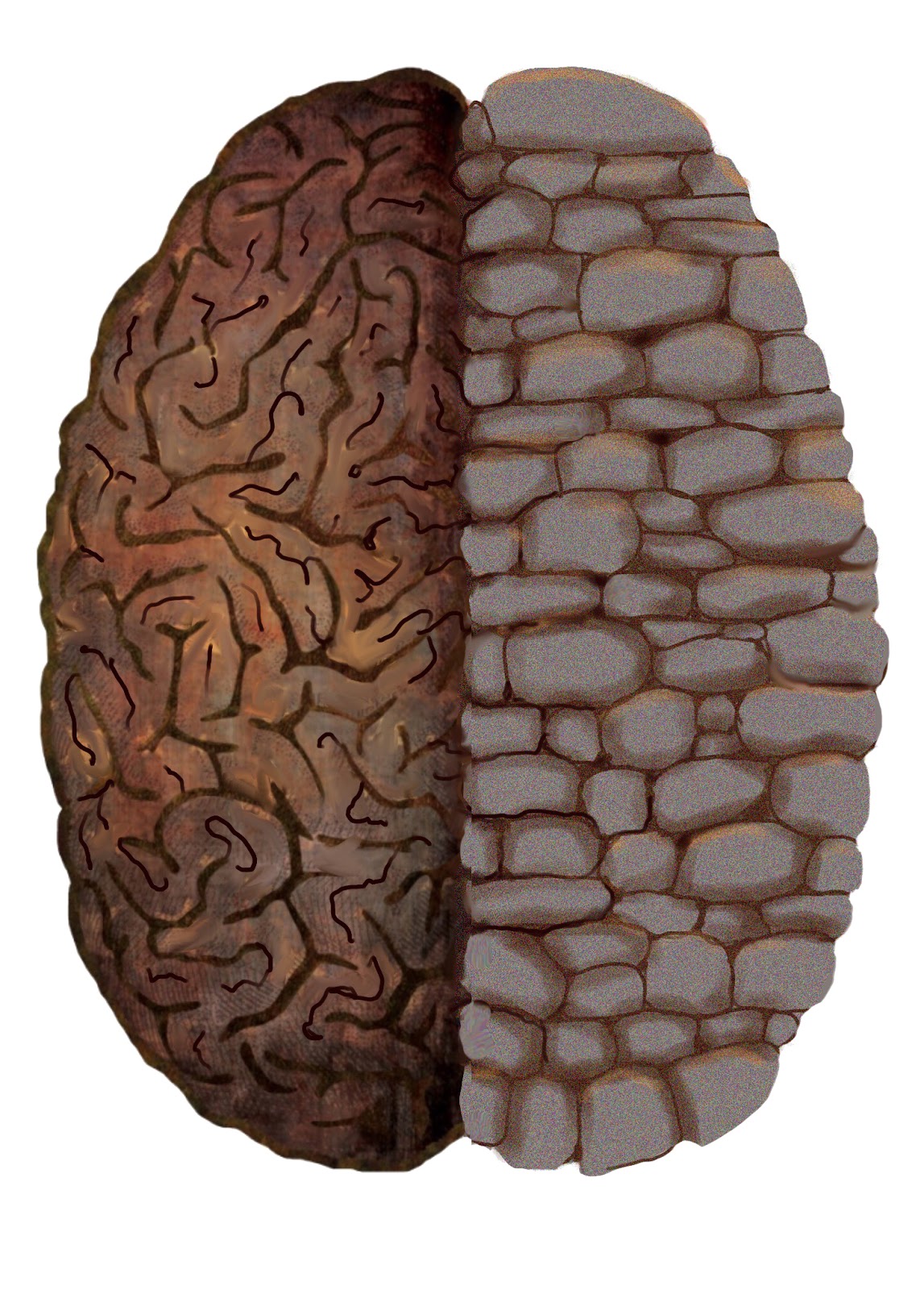 Thinking With My Hands: The Right Half of a Waller's Brain