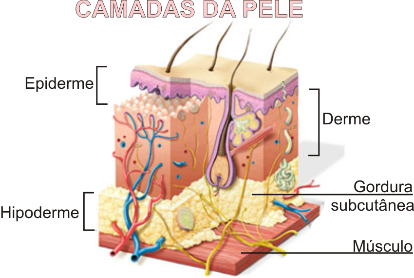 Como ter um corpo mais definido