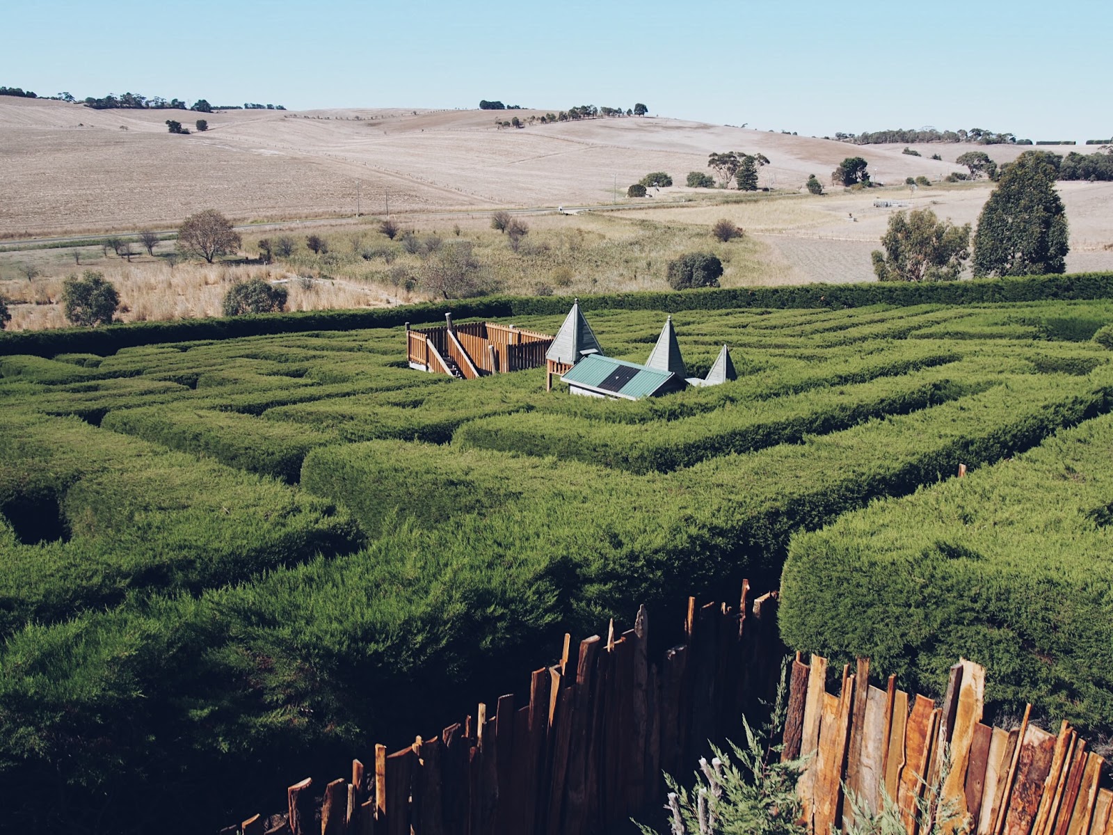 Barrabool Maze Estate Ceres Review | Yellow Dandy