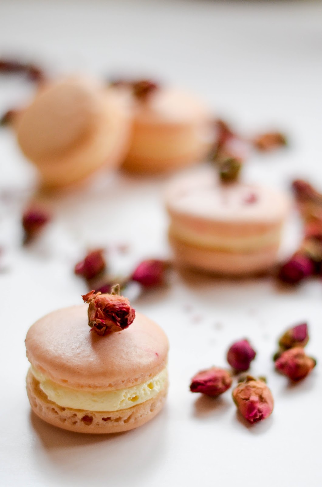 Rose and vanilla macarons: the power of flavours | The moonblush Baker