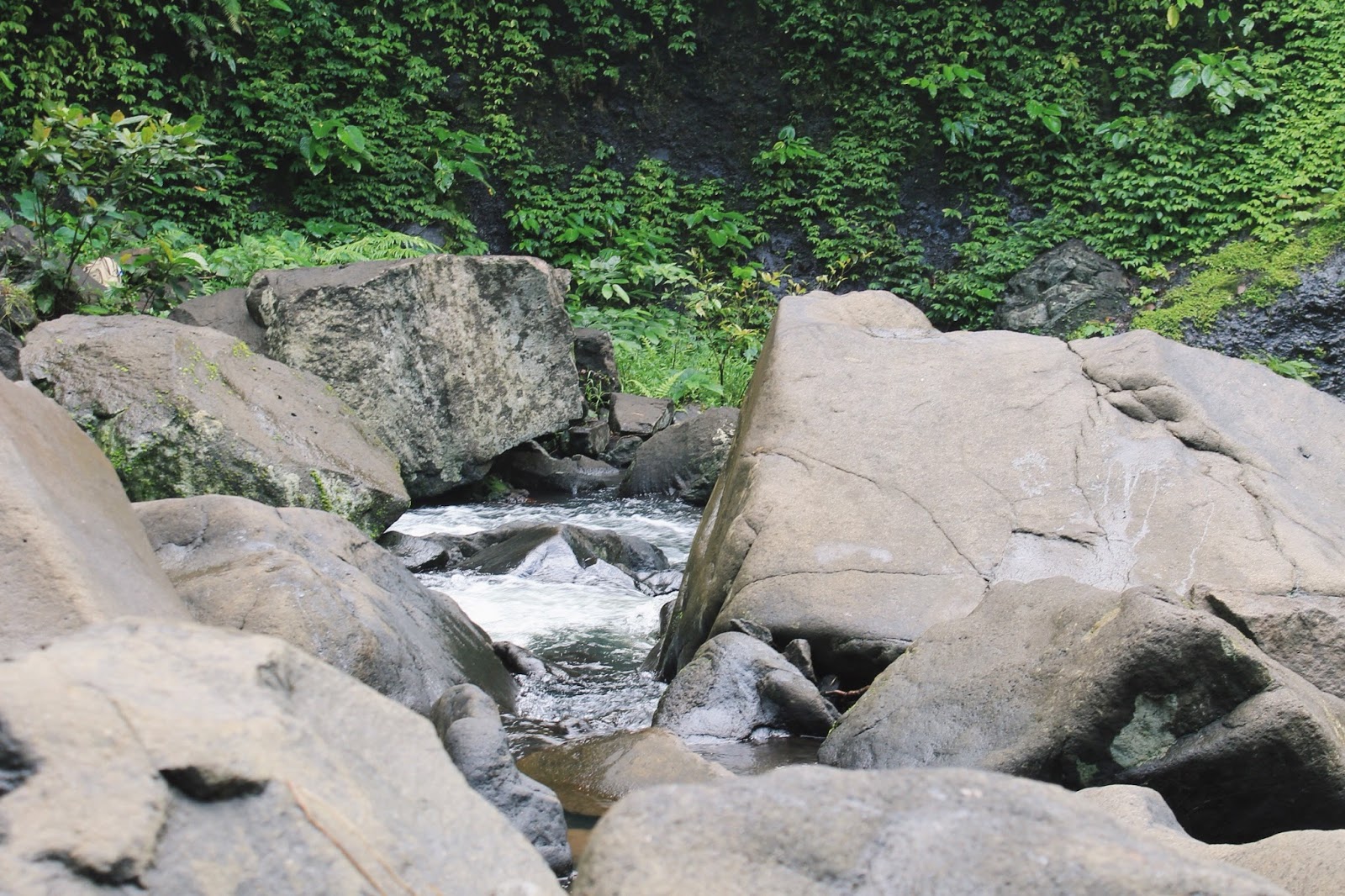 BUNTOT PALOS, LAGUNA: Day Trip Hiking Itinerary and Budget — RAESCAPE