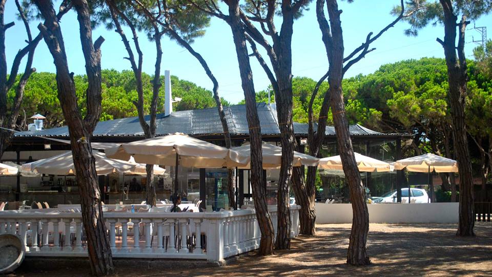 Alentours Barcelone: Gavà Mar : Mar de Pins