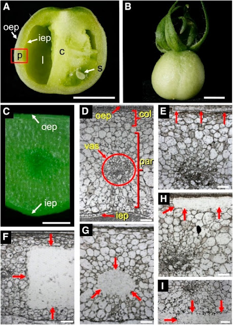 Biología y Agroindustria : 2015