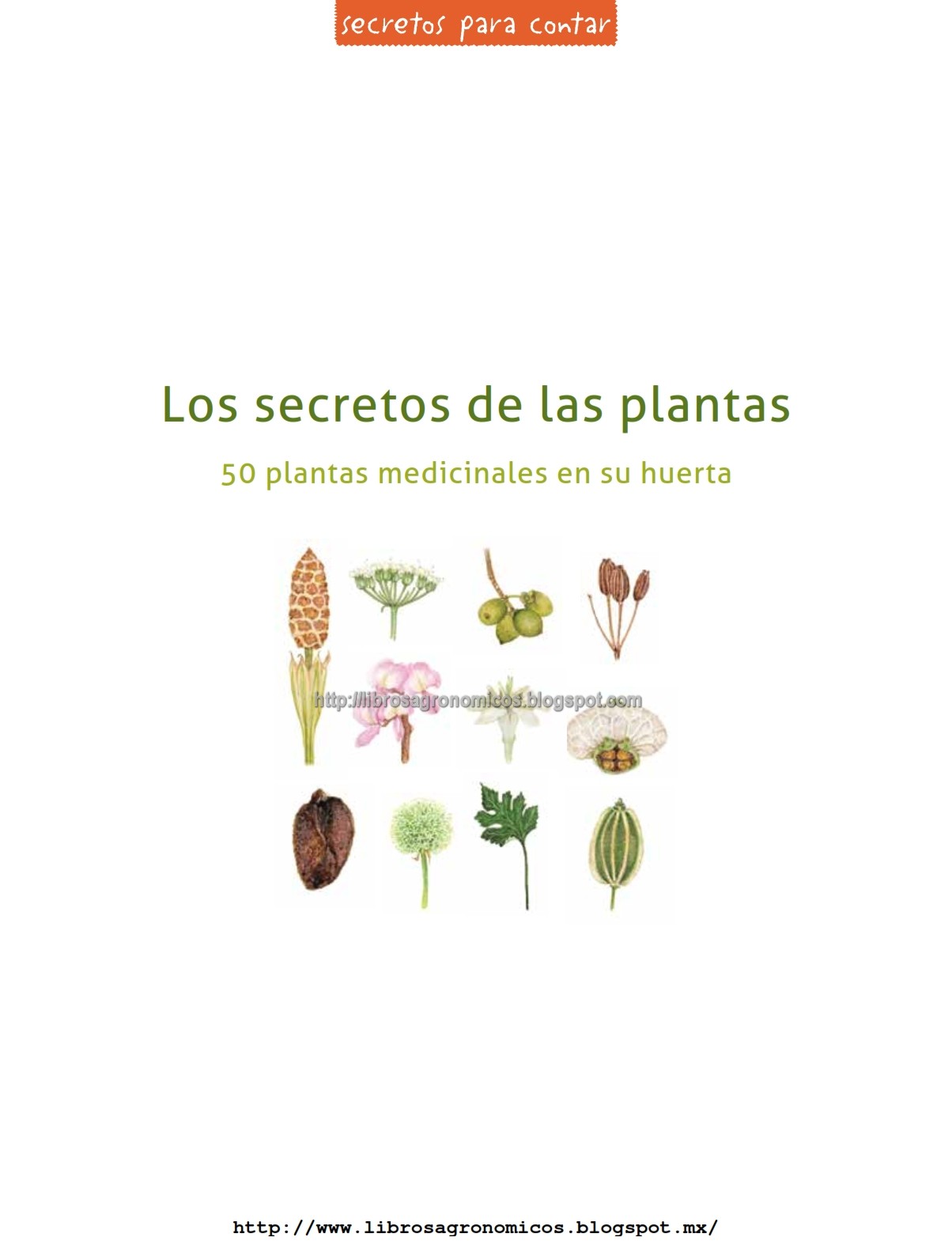 Los secretos de las plantas. 50 plantas medicinales en su huerta ...