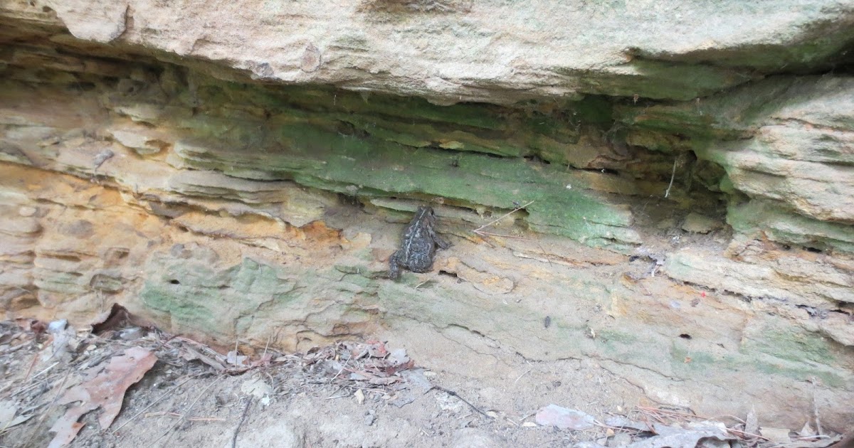 Equatorial Minnesota: Cambrian island-hopping at Taylors Falls