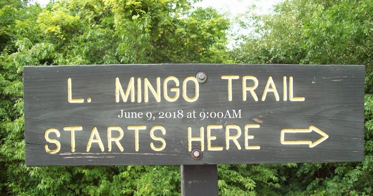 Chris' Ultra Blog: Lake Mingo Trail Race