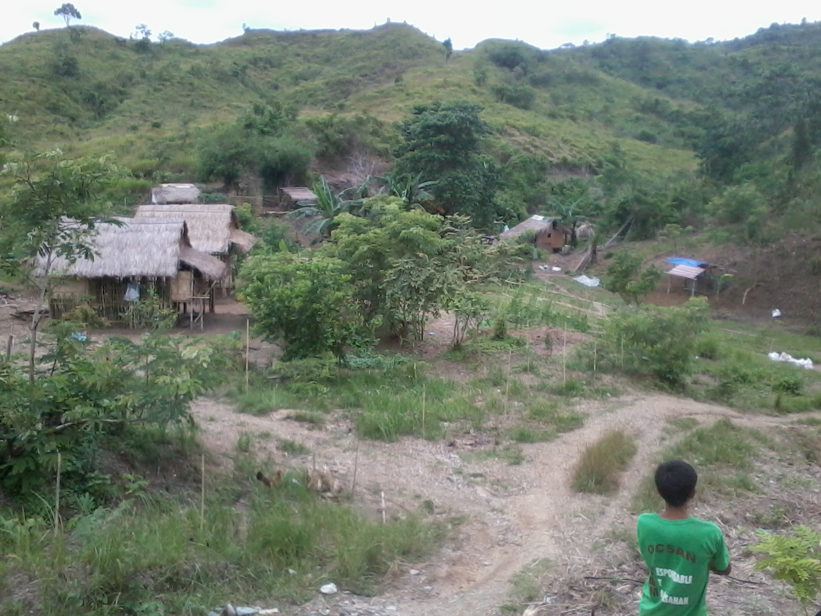 Sustainable Development: New Upland Dwellers and the DENR