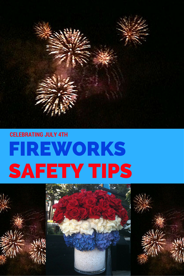 MOMMY BLOG EXPERT: Fireworks Safety July 4th - Essential Tips to ...