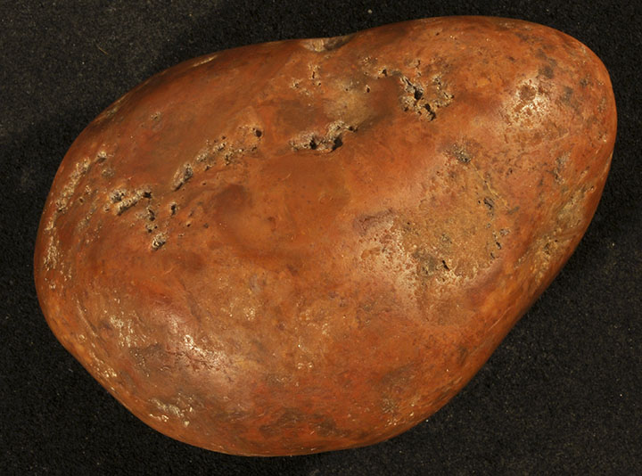 PALEO & GEO TOPICS: Comments by R. L. Squires: Dinosaur gastroliths