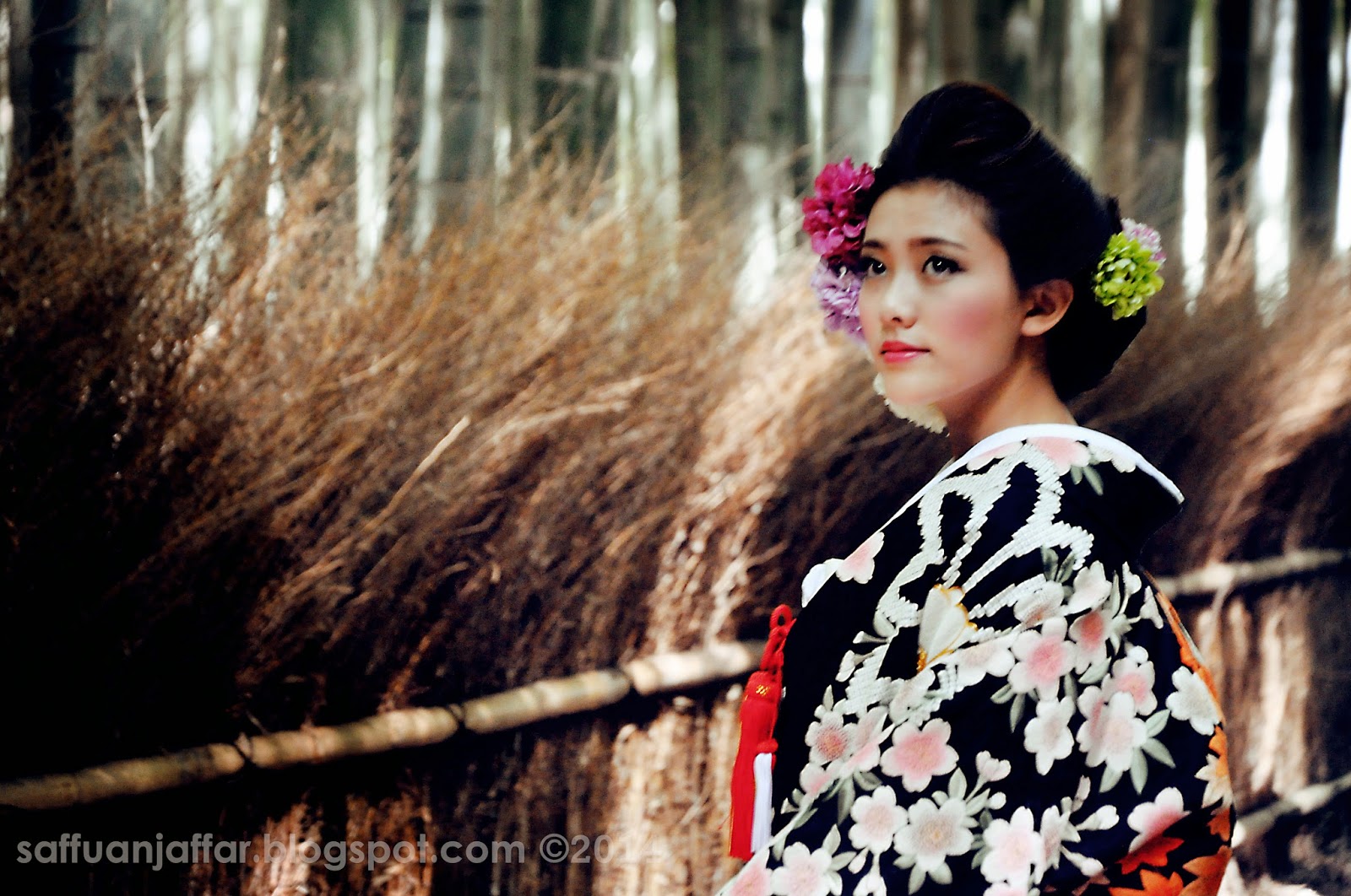 Saffuan Jaffar Blog Travel: Trip Bercuti di Jepun | Arashiyama Mystical ...