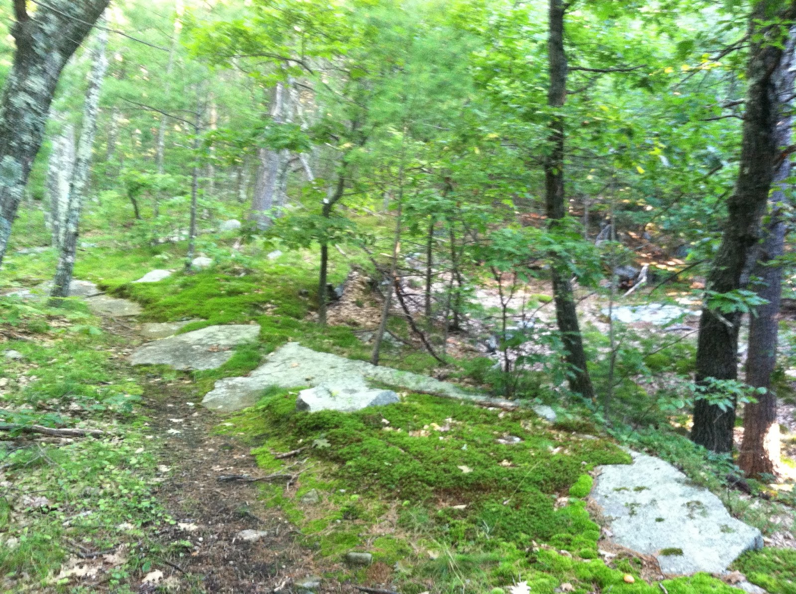 Early Morning Trails: Monoosnoc Trail End to End to End/Traverse ...