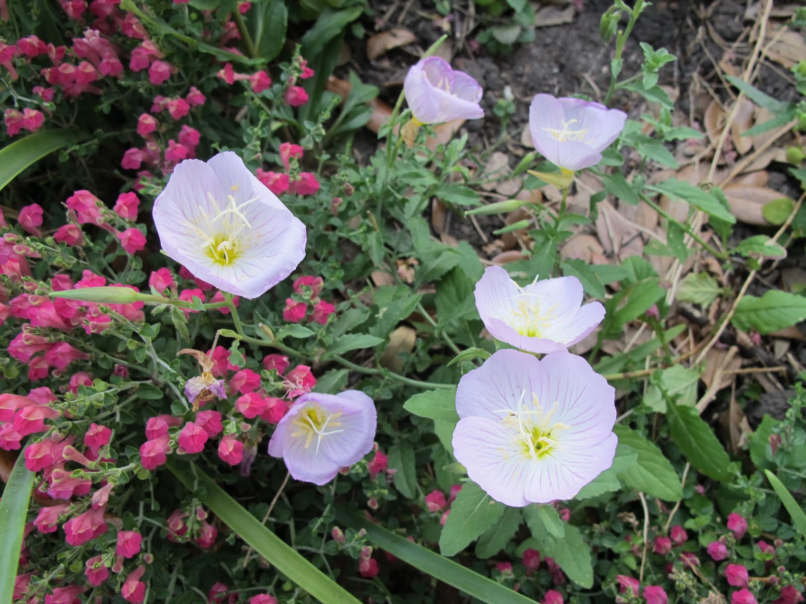 Three for Thursday: Friends Don't Let Friends ...