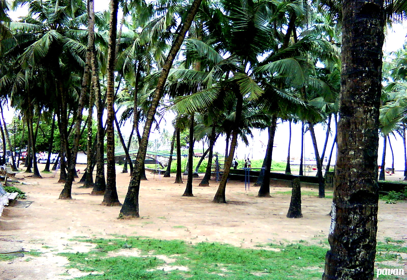 PHOTOGRAPHY: beautiful goa