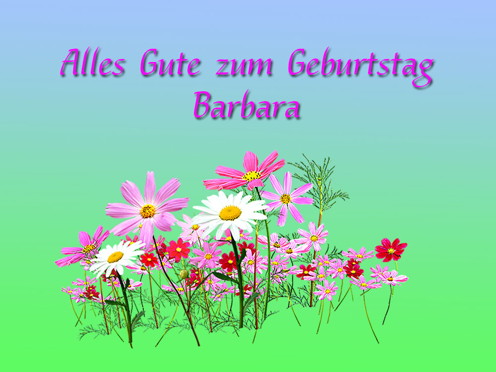Alles Gute zum Geburtstag: Alles Gute zum Geburtstag Barbara