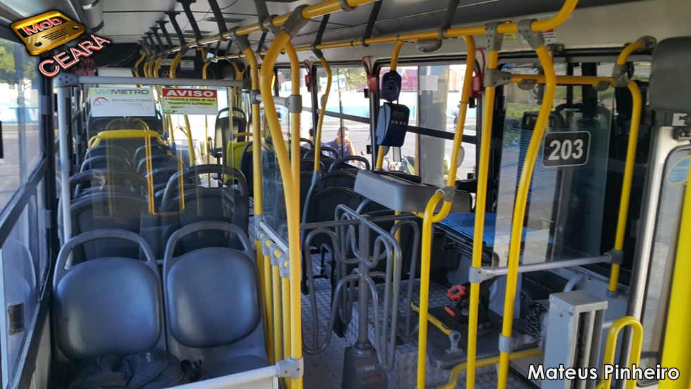 Ônibus em destaque: Via Metro 203 e 204