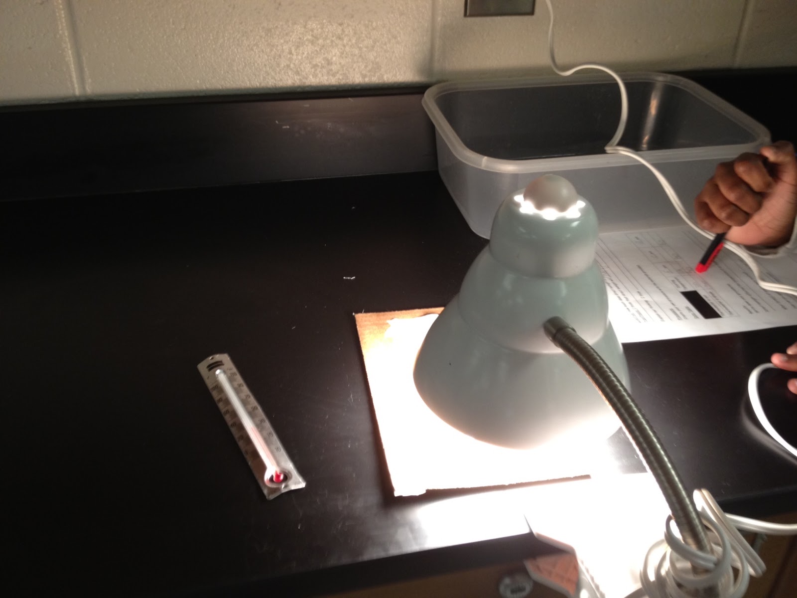 Ist Year Teacher: Energy Transformation