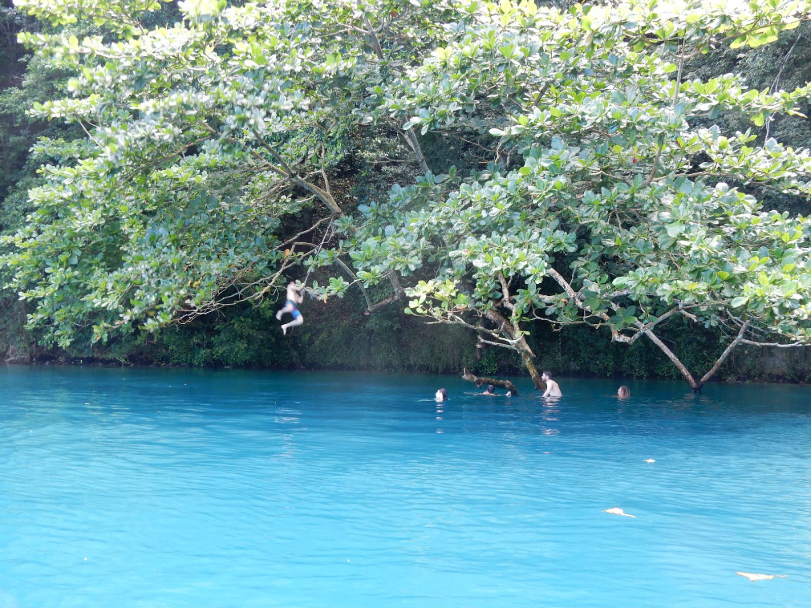 Dicas para conhecer a Lagoa Azul na Jamaica! - Renata Viaja...