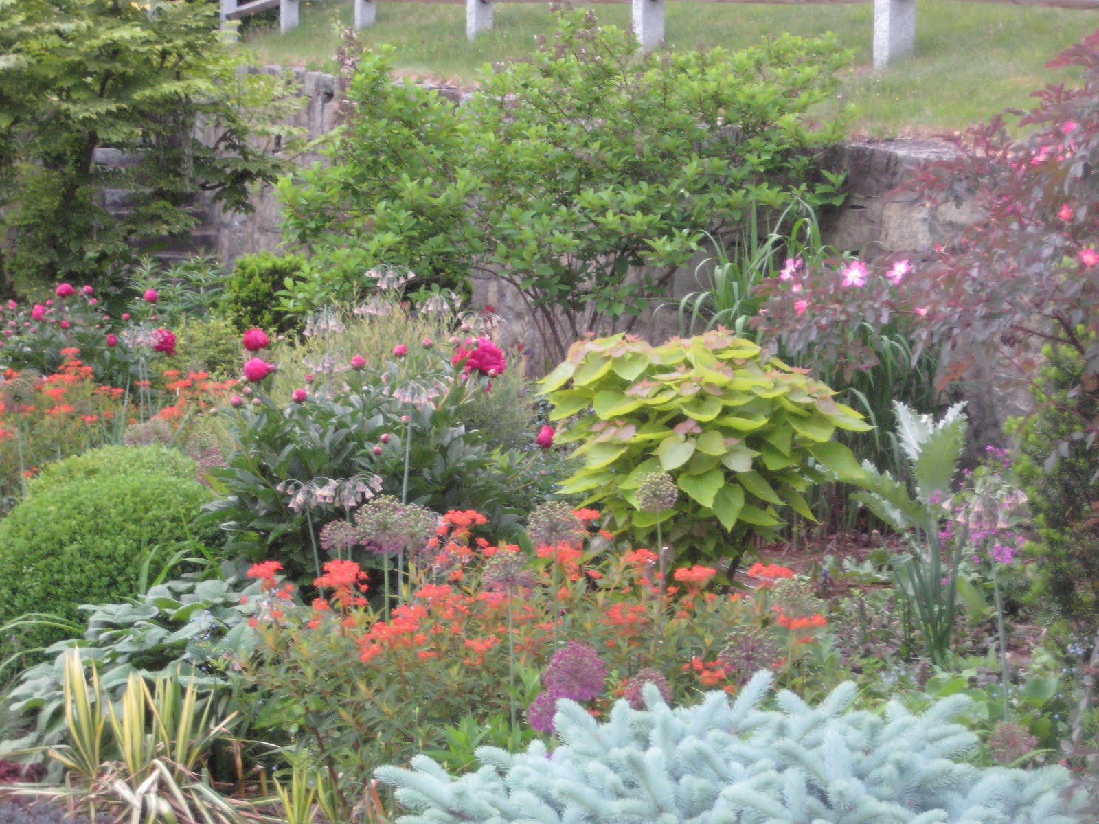 The Gardener's Eye: Editing a Mixed Border: It is All About Scale