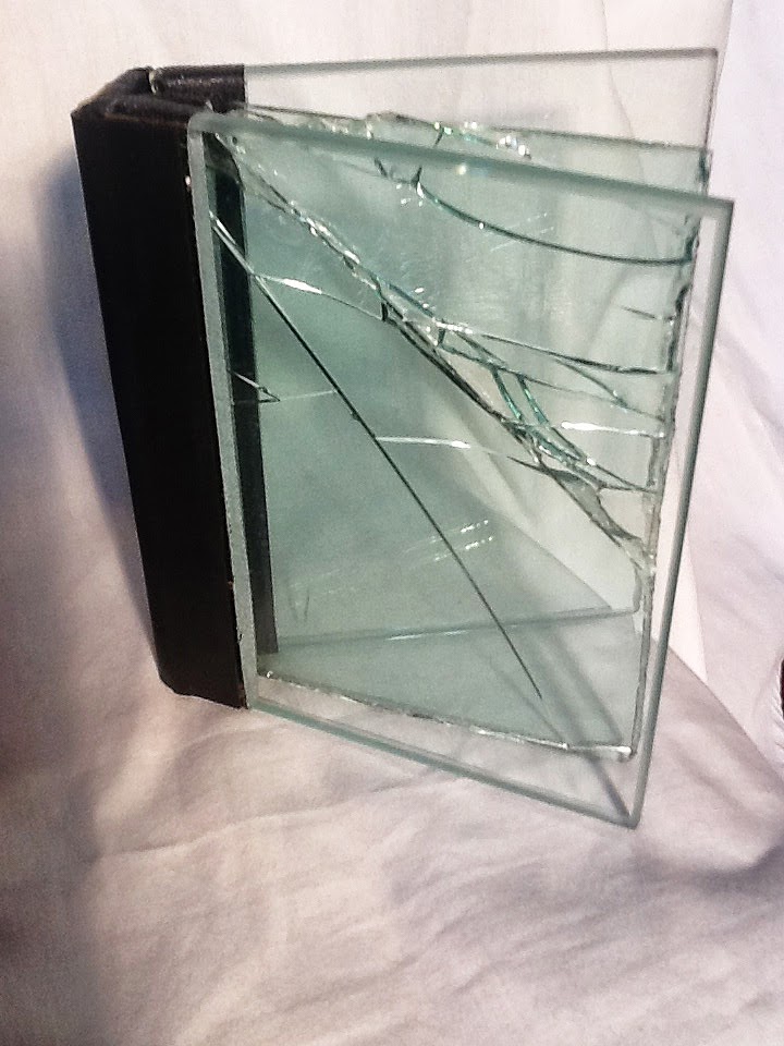 Glass Garden: Glass Books