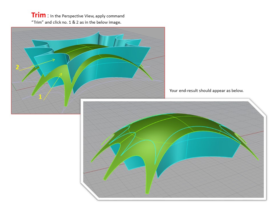 Rhinoceros Modelling Tutorial for Architects and Designers