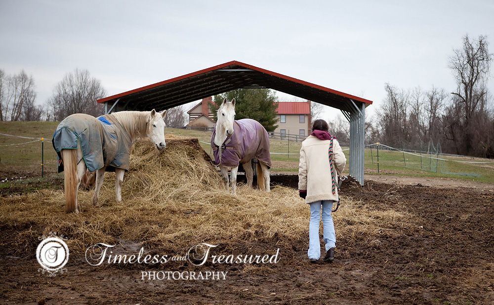Timeless and Treasured - My Three Girls: Family Fun at the Barn
