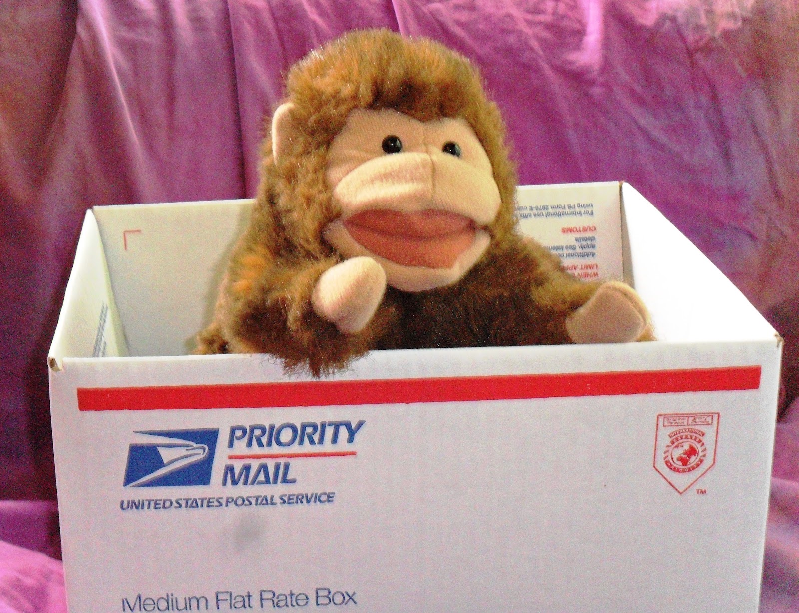 Beyond the Book Storytimes: Presents from Dear Zoo