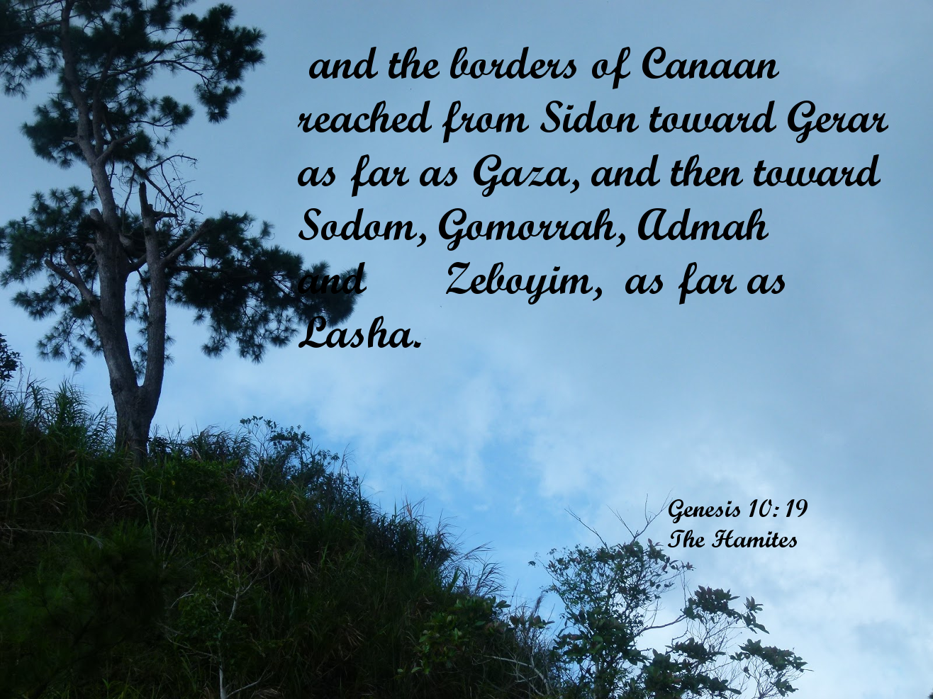 Genesis 10:19 The Hamites