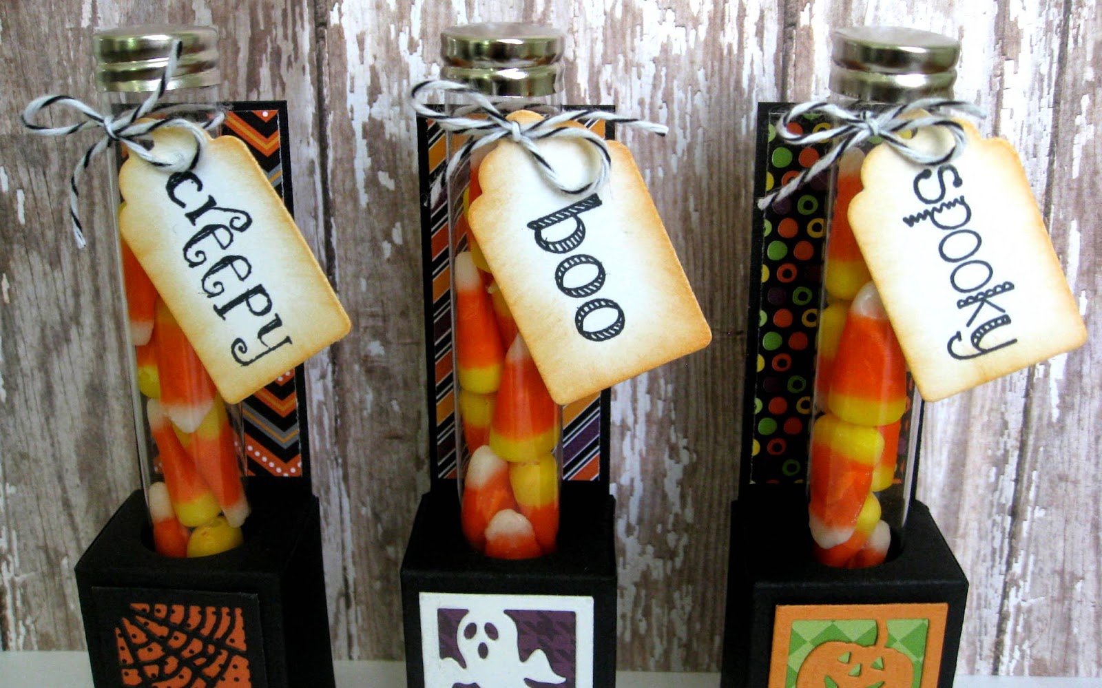 Taylored Expressions September Release Day: Test Tube Caddy with You've ...