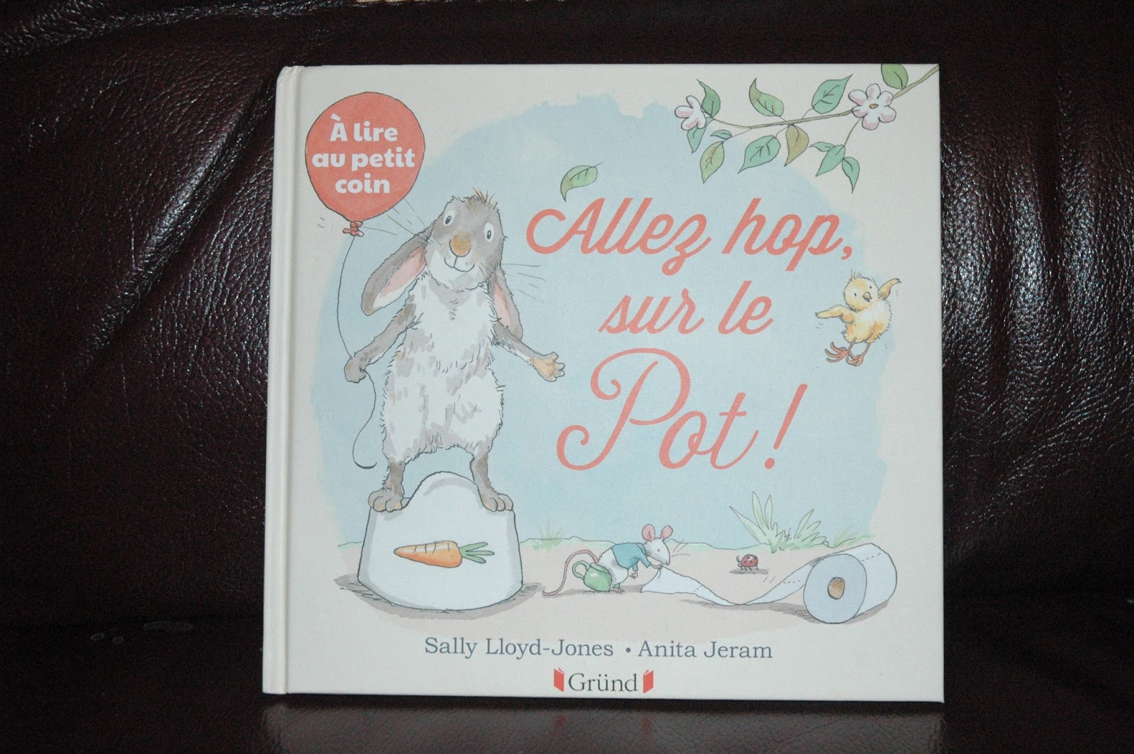 Anaïs et sa petite vie...: Coin Lecture : Allez hop, sur le Pot!