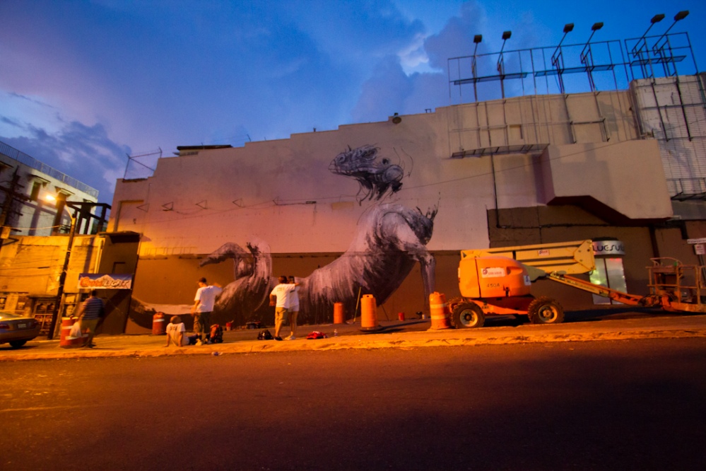 ROA New Mural In Progress, San Juan, Puerto Rico – StreetArtNews