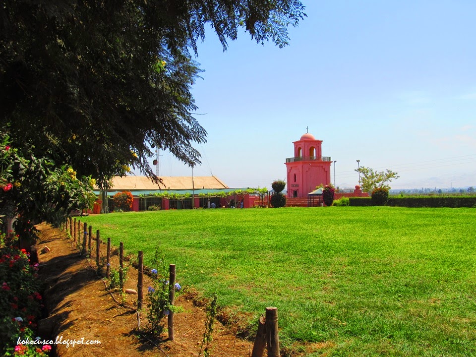Hacienda Tacama en Ica primer viñedo de América, por las rutas del Pisco