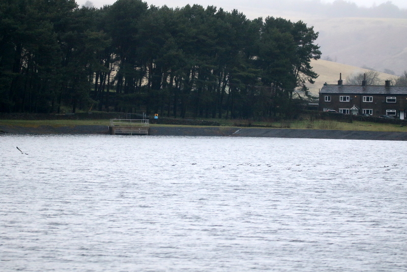 WEST YORKSHIRE BIRDING: Mixenden Reservoir