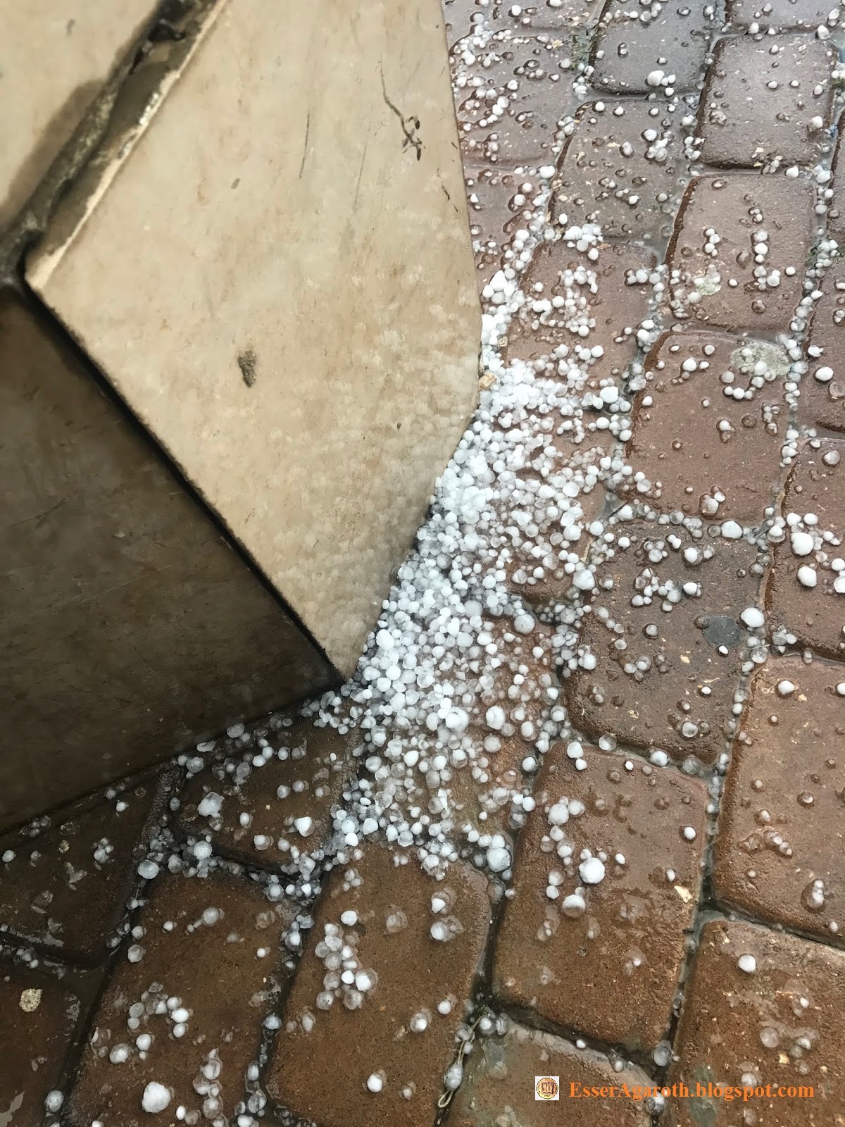 Esser Agaroth (2¢): מזג אוויר מוזר ומטורף לעונת אביב! / Bizarre and ...