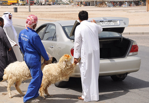My Travels,My Experiences: Visit To the Sheep Market at Kabd, Kuwait