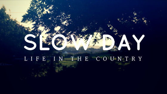 Diary of a Stay at Home Mom: { Slow Day }