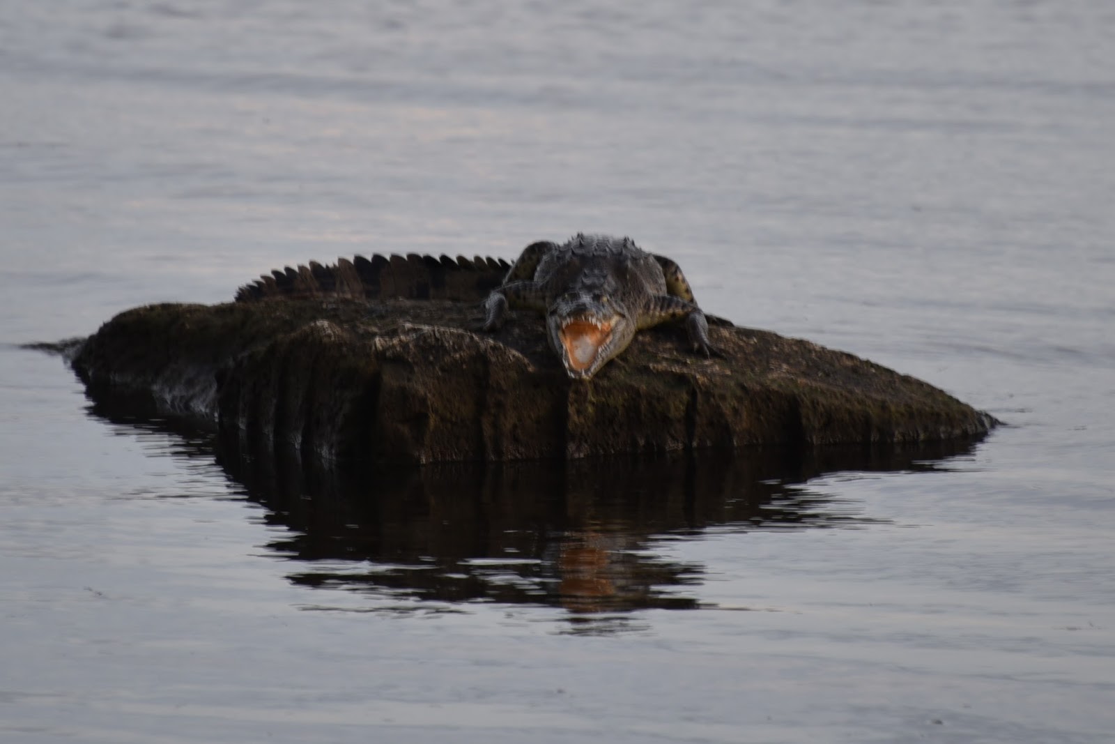 Visions From Key West